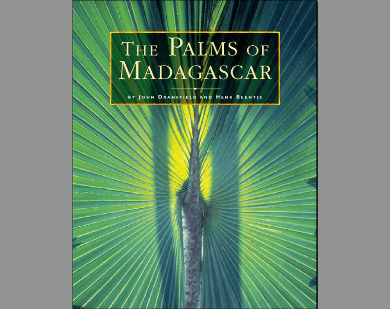 Library - Palmpedia - Palm Grower's Guide